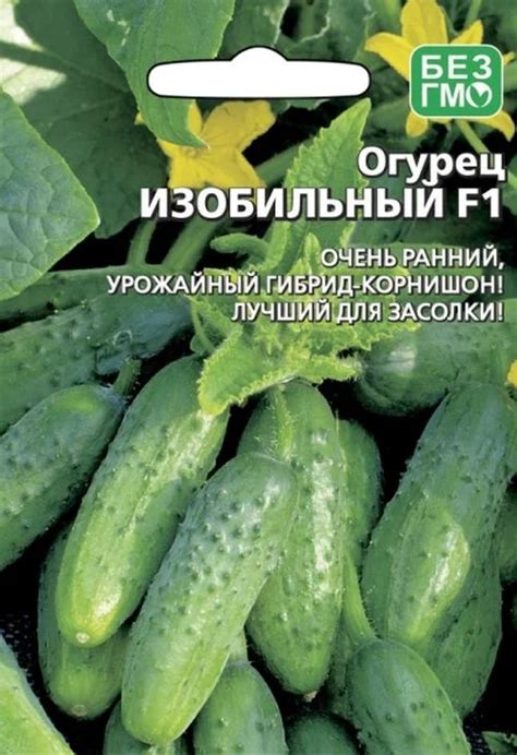 Огурец Изобильный: описание и характеристики сорта, правила посадки и ...