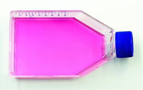 Complement Reagents Products Distributed In The Uk By Vh Bio