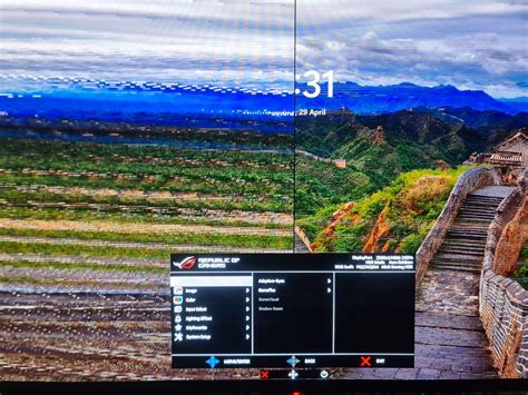 Warning Asus Pg27aqdm 240hz Oled Issuereview Roledgaming