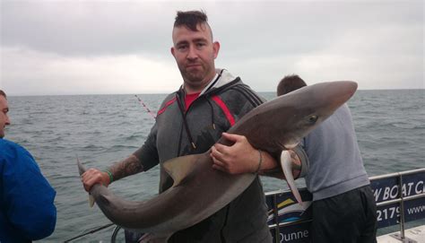 Pictures Of David Alan Bailey