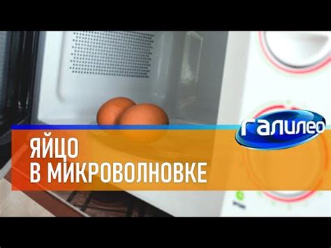 Галилео 🥚 Яйцо в микроволновке - YouTube