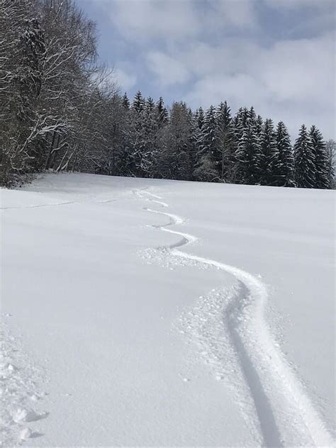 On Linkedin Master Deep Learning Build Your First Model Today