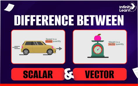 Difference Between Scalar And Vector Quantity Examples Characterstics