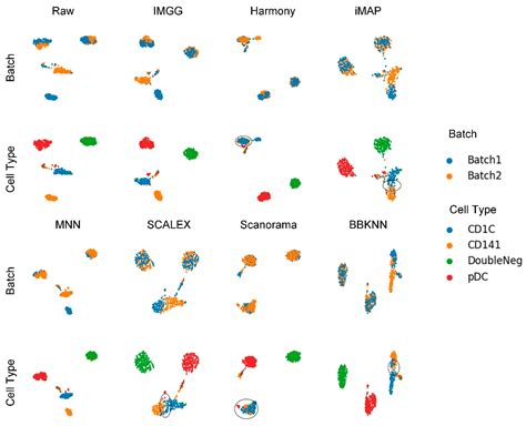 Imgg Integrating Multiple Single Cell Datasets Through Connected Graphs And Generative