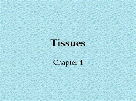 PPT Tissues Chapter What Are Tissues Groups Of Cells With The Same Structure And General