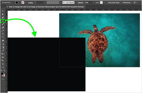 How To Change The Color Of An Image In Illustrator