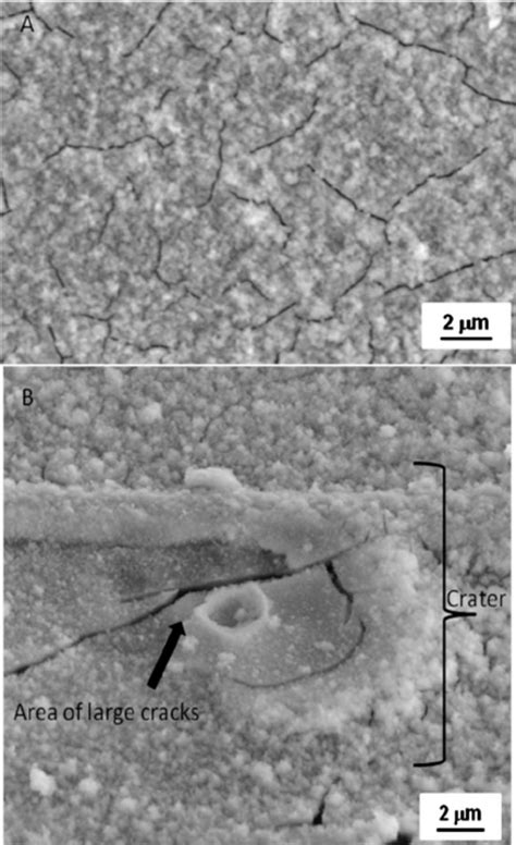 Sem Image Showing The Subsurface Morphology Of The Milled Cross Section