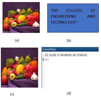 A Input Image B Input Message C Stignoimage D Extracted Message Download Scientific