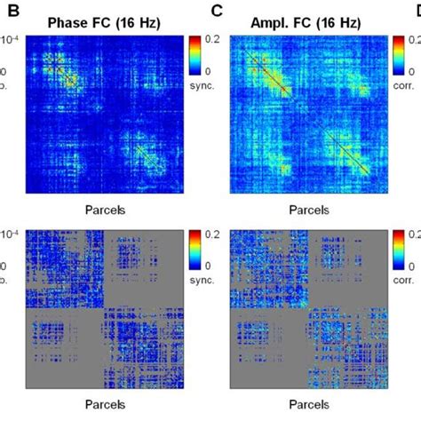 Avalanche Propagation And Connectomes Of Inter Areal Relationships In