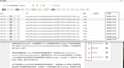 部分国内网站无法加载图片 哔哩哔哩