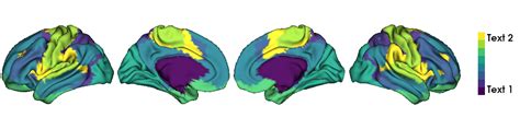 Changing Colorbar Labels Issue MICA MNI BrainSpace GitHub