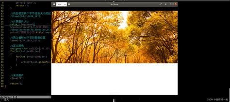 C语言实践:文件操作与stat函数应用 Csdn博客 C语言实践:文件操作与stat函数应用 Csdn博客