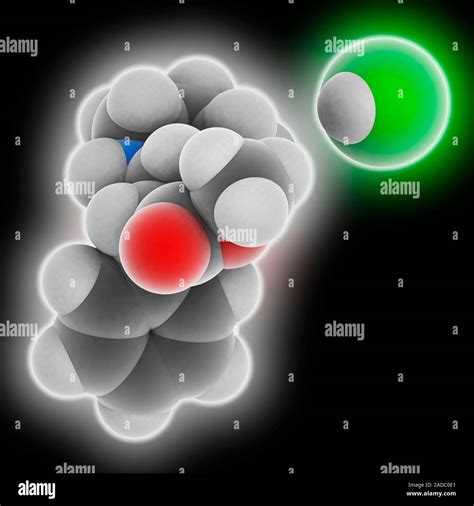 Dexmethylphenidate Hydrochloride Molecular Model Of The Drug Dexmethylphenidate Hydrochloride