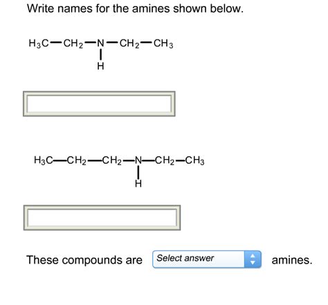 Solved Write Names For The Amines Shown Below These Chegg Com