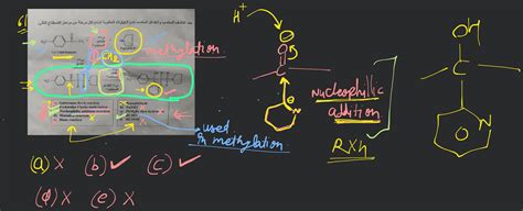 Cc O C1ccc C Cc1 C1ccnc1 Pyrrolidine Cc1ccc C O Cc2cccn2 Cc1 Jetalin Ip