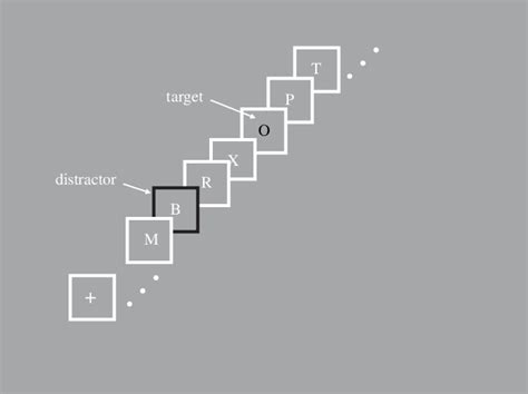 Representation Of Stimuli And Sequence Of Events On A Trial With A