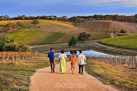 일하며 호주여행 워킹 홀리데이 즐기기 좋은 호주 도시들