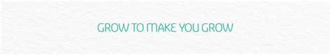 Multivision Consulting Linkedin