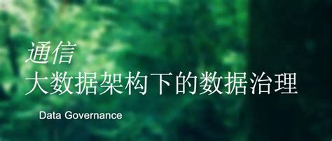 通信大数据架构下的数据治理 pdf 微信 资料 高清