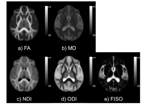 Average Diffusion Maps Population Average Maps Of A Fractional