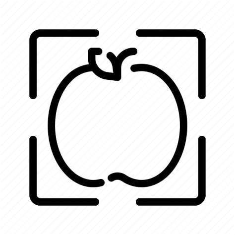 Identify Object Recognition Technology Icon Download On Iconfinder