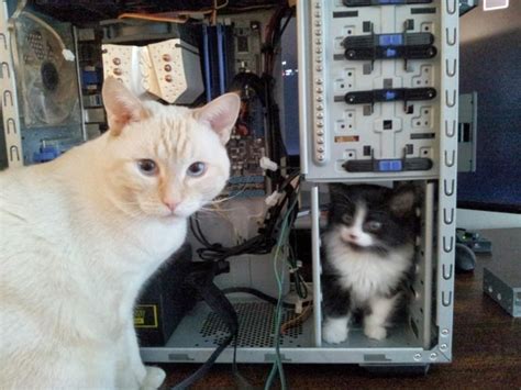 C With Spawned Process Credits Umrbuerger Rcat