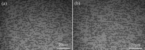 Microstructure Of A Au 30ga Solder And B Au 30ga 0 01ni Solder Download Scientific Diagram