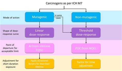 How To Calculate The Safe Limit For Carcinogens As Per Ich M7 Lhasa Limited