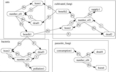 causal dependencies involving four populations four interactions in