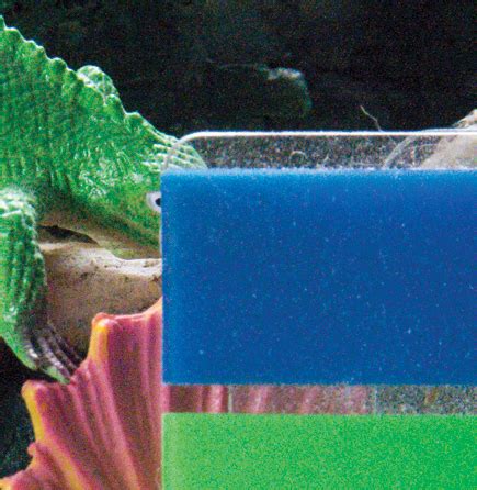 Quieting Noise Digital Noise Is Easily Controlled With These Plug In Filters Shutterbug