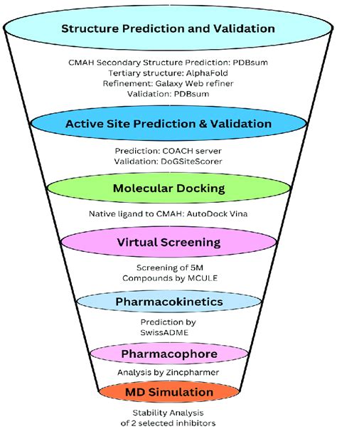 Schematic Workflow Of The Molecular Structural Analysis Of Porcine