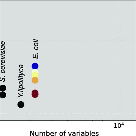 Cpu Times For Different Genome Scale Metabolic Networks Download