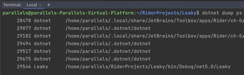 DotMemory Support For Linux Process Dumps The NET Tools Blog