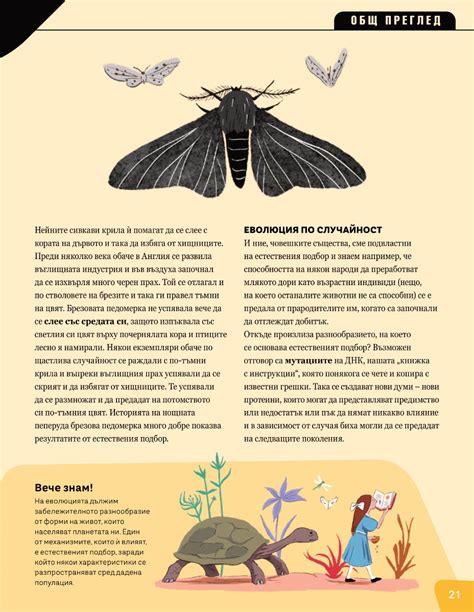 【Човешкото тяло】Пан • Цена