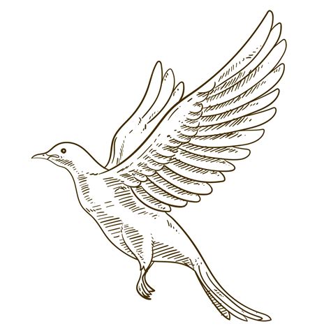 Line Drawings Of Birds Clipart Library Clipart Library Clipart Library Free Clipart 3682925