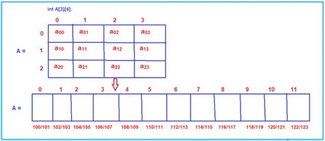 Array Representation By Compiler Dot Net Tutorials