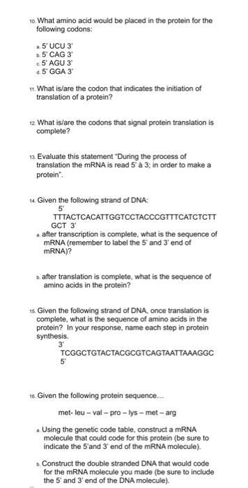 Solved After Transcription What Is The Sequence Of The Chegg