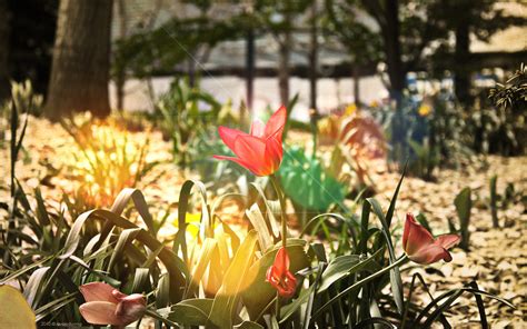 Весняні шпалери для робочого столу