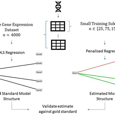 Variable Selection Performance Gold Standard Coefficient Vectors Were