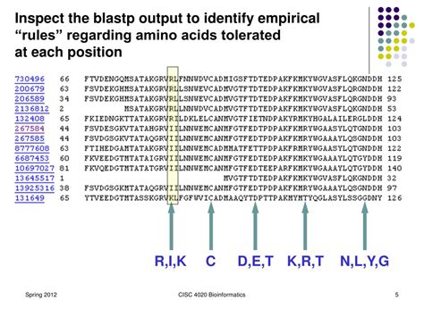 Ppt Position Specific Iterated Blast Psi Blast Powerpoint