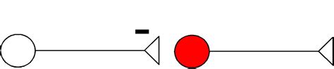 Neural Integration Kines 200 Introductory Neuroscience