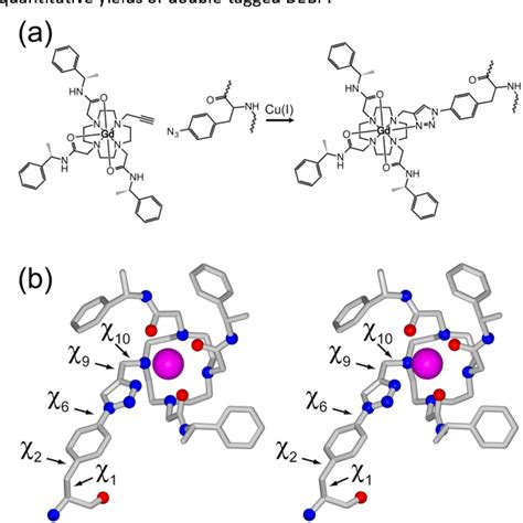 Figure 1 From Protein Conformation By Epr Spectroscopy Using Gadolinium