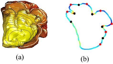 figure 1 from sulcal curve extraction using laplace beltrami