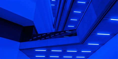 Steve Mcqueens ‘bass Strips Down Cinema And Lays Its Bones Bare Dnyuz