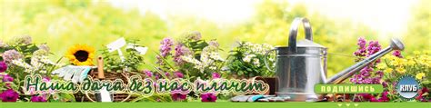 Наша дача без нас плачет ♥ Советы-Дизайн-Рецепты | ВКонтакте