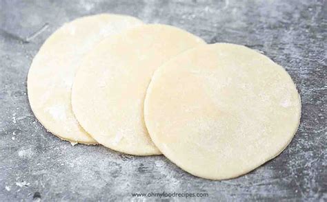 Homemade Dumpling Wrappers 餃子皮 Oh My Food Recipes