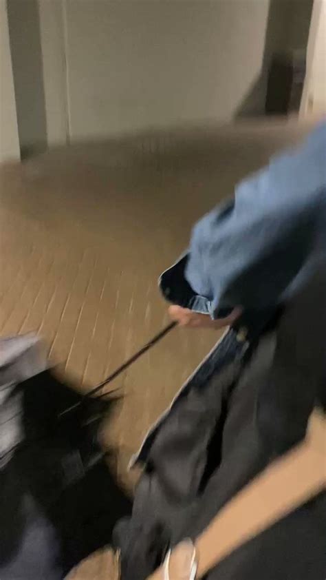 Meg On Twitter He Truly Honestly Tries