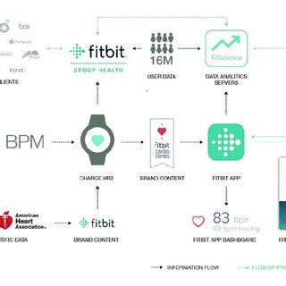 Summary Of The Data Flow During Heart Monitoring In The Fitbit Charge Download Scientific