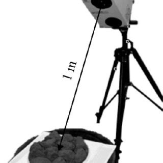 The Soil Sample Observed From A Distance Of M By The Laser Scanner Download Scientific