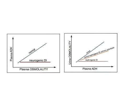 Approach To Hypernatremia Causes Investigation Pathophysiology
